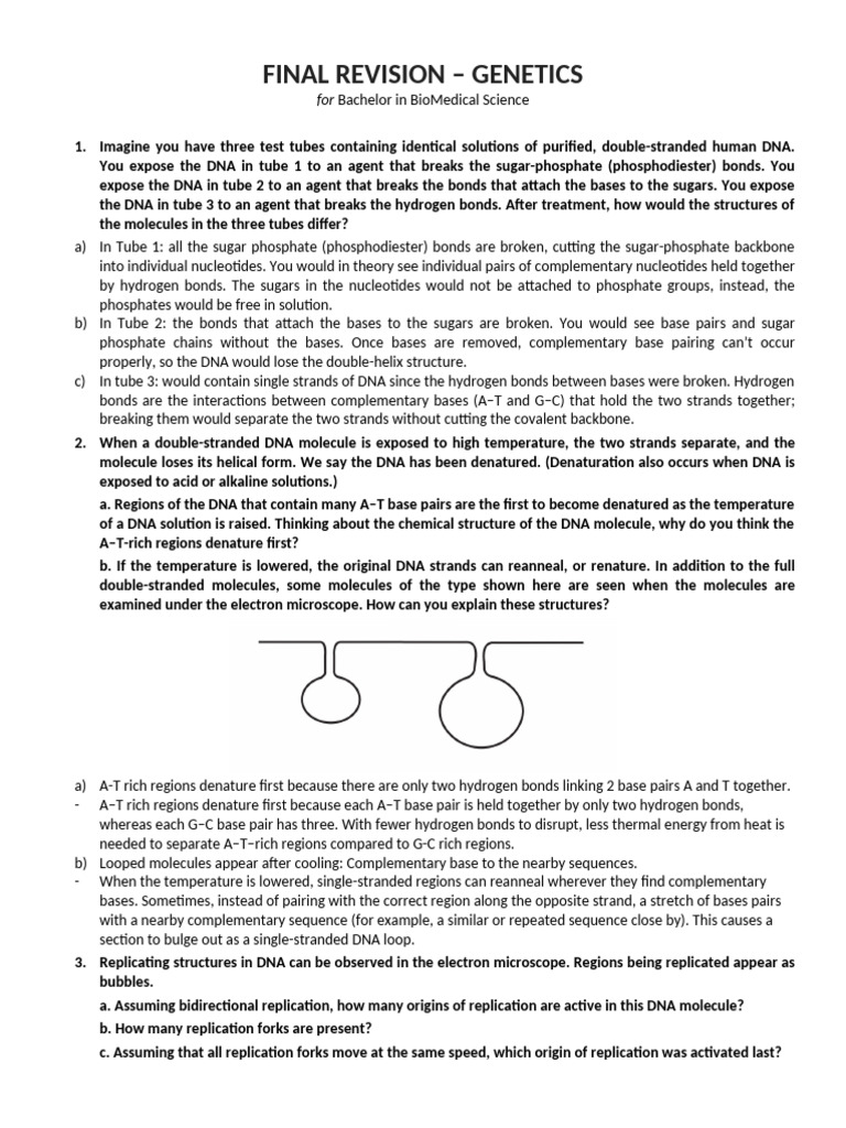 DNA Structure and Mutation Analysis | PDF | Nucleic Acid Sequence ...