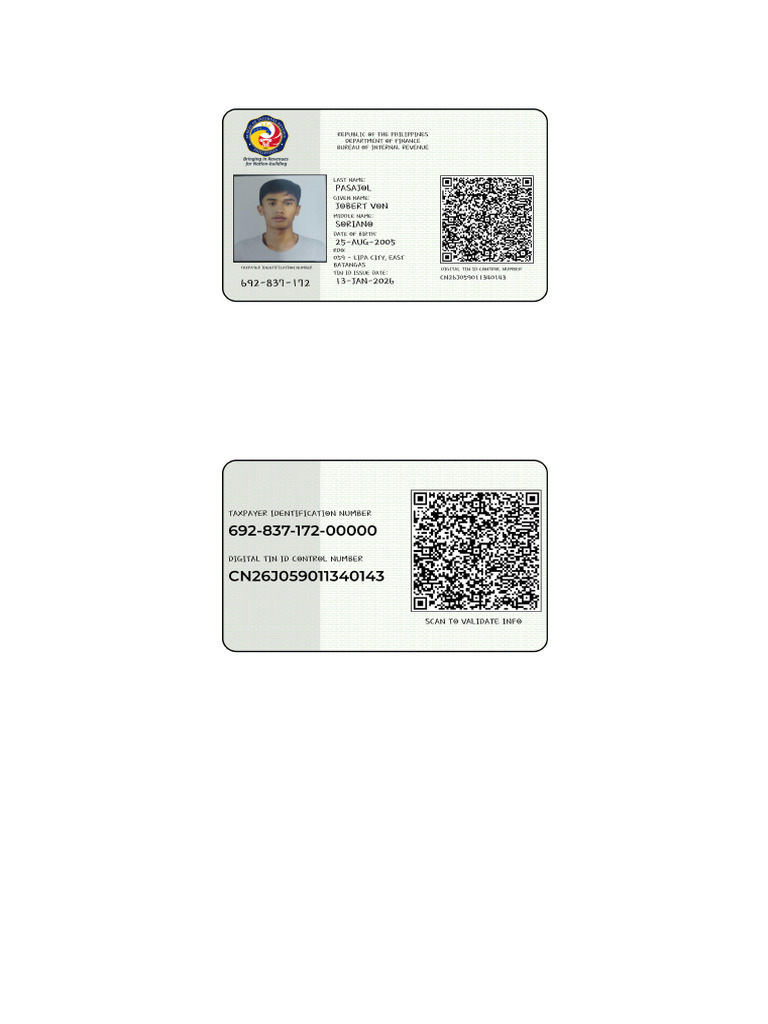 Downloadable Digital TIN ID Guide | PDF