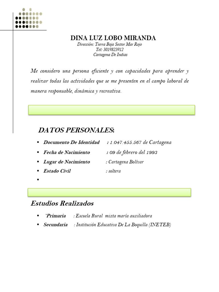 Currículum Vitae de Dina Luz Lobo Miranda | PDF