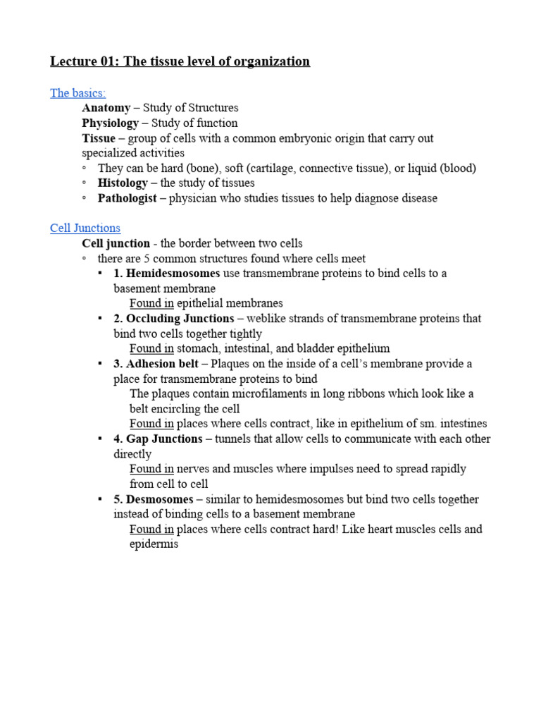 Understanding Tissue Organization in Anatomy | PDF | Epithelium ...