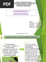 Anatomía y Morfología del Grillo | PDF | Insectos | Artrópodos