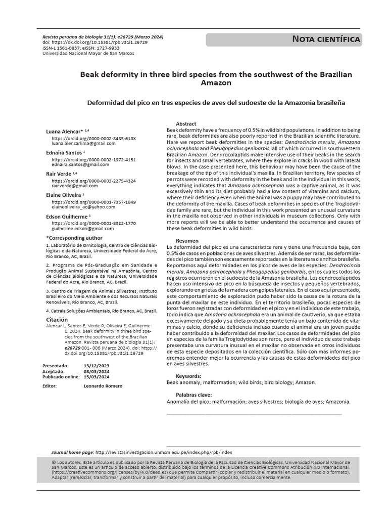 Beak Deformity in Amazonian Birds | PDF | Beak | Birds