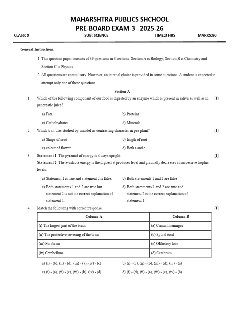 science updated pb3 2025-26 Exam Edition (1) | PDF | Redox | Chemical ...