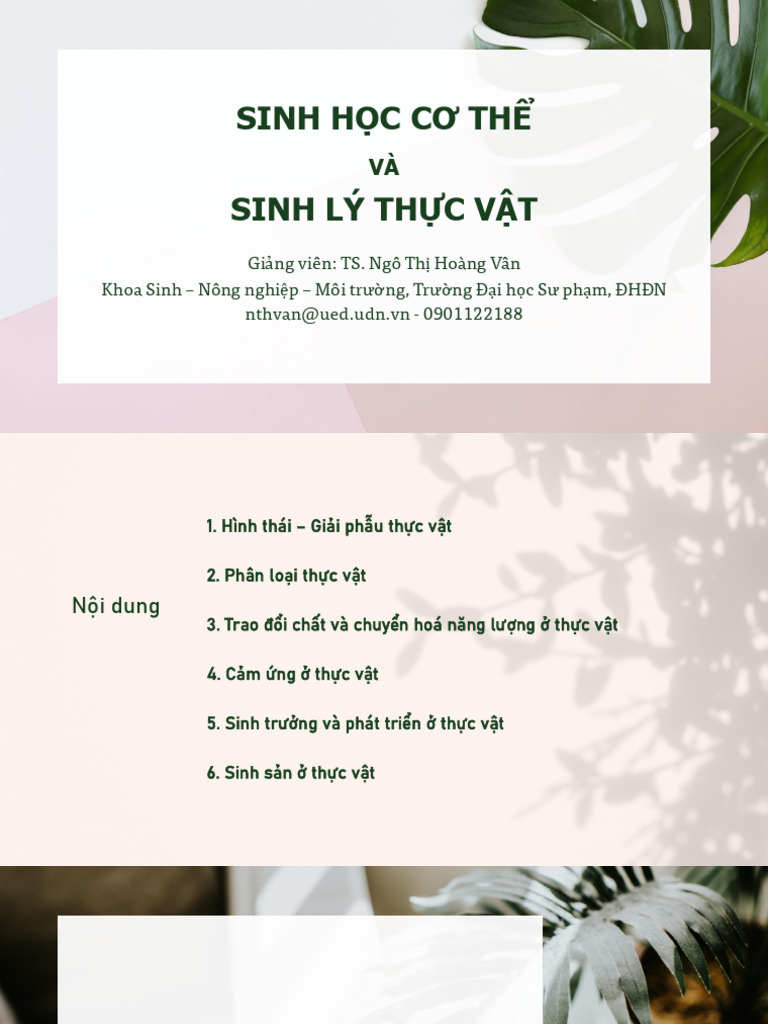 Sinh Học Cơ Thể Thực Vật | PDF