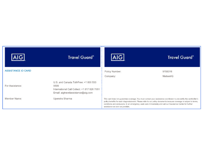 Travel Insurance Card | PDF