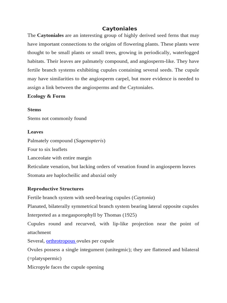 caytoniales notes | PDF | Leaf | Botany