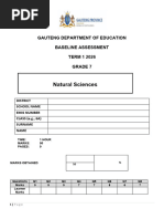 Grade 7 Natural Sciences Term 1 Notes | PDF | Flowers | Pollination