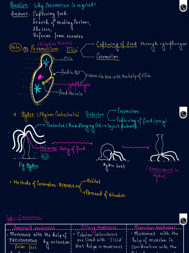 Locomotion and Movement Samapti Ma'Am | PDF