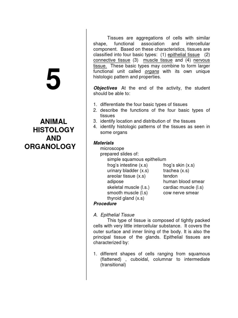 Act.05 Animal Histology and Organology | PDF | Epithelium | Tissue ...