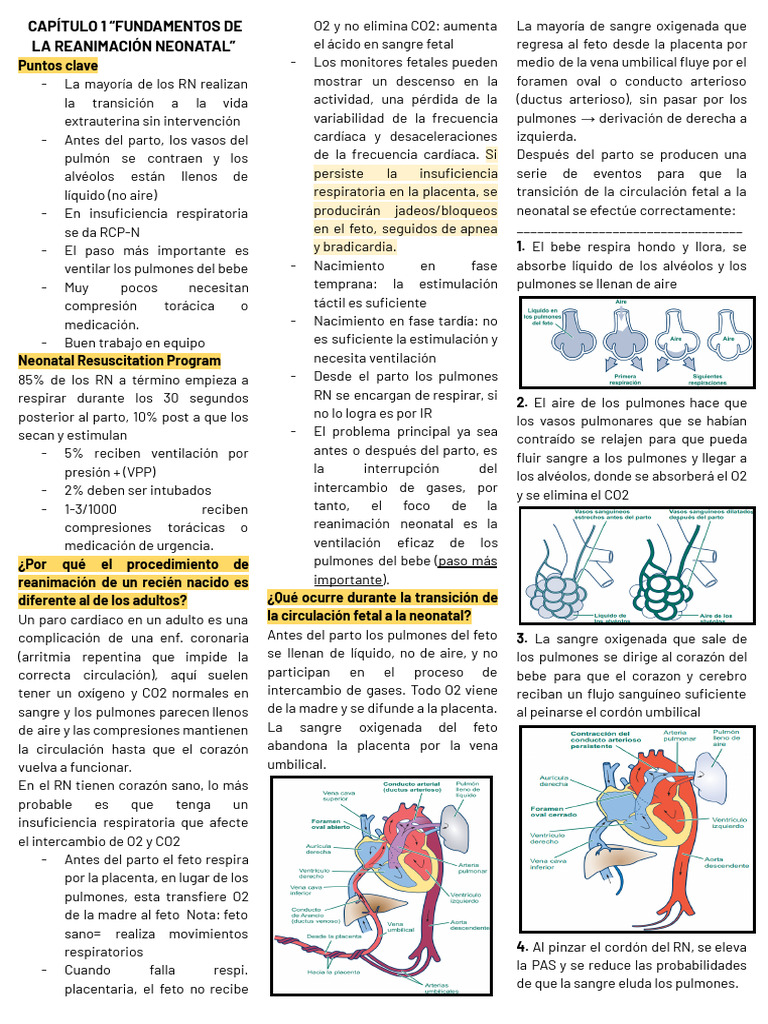 RCP Neonatal Guia | PDF | Feto | Reanimación cardiopulmonar
