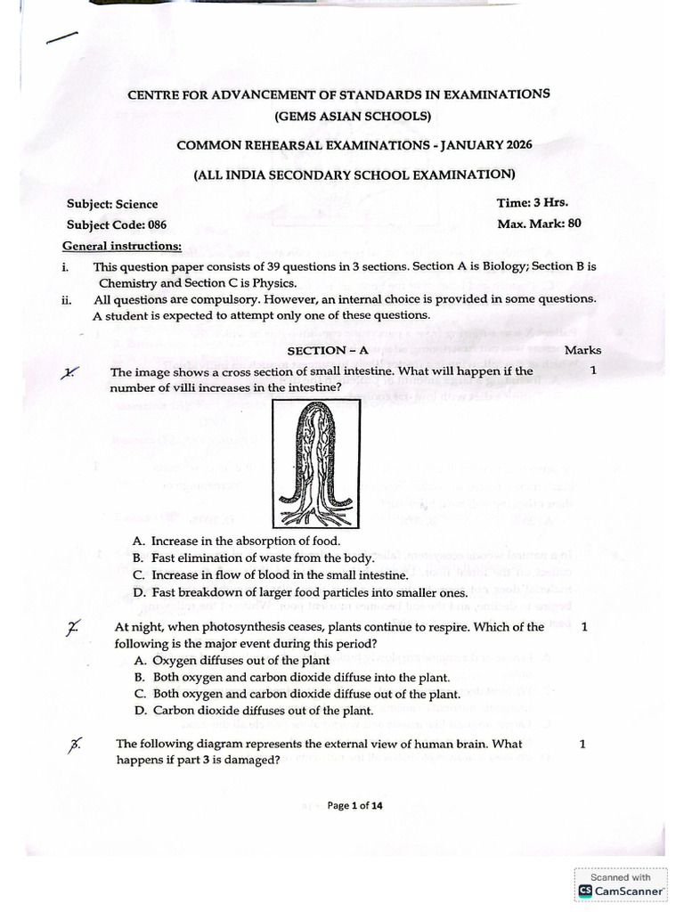 Science Case Exam | PDF