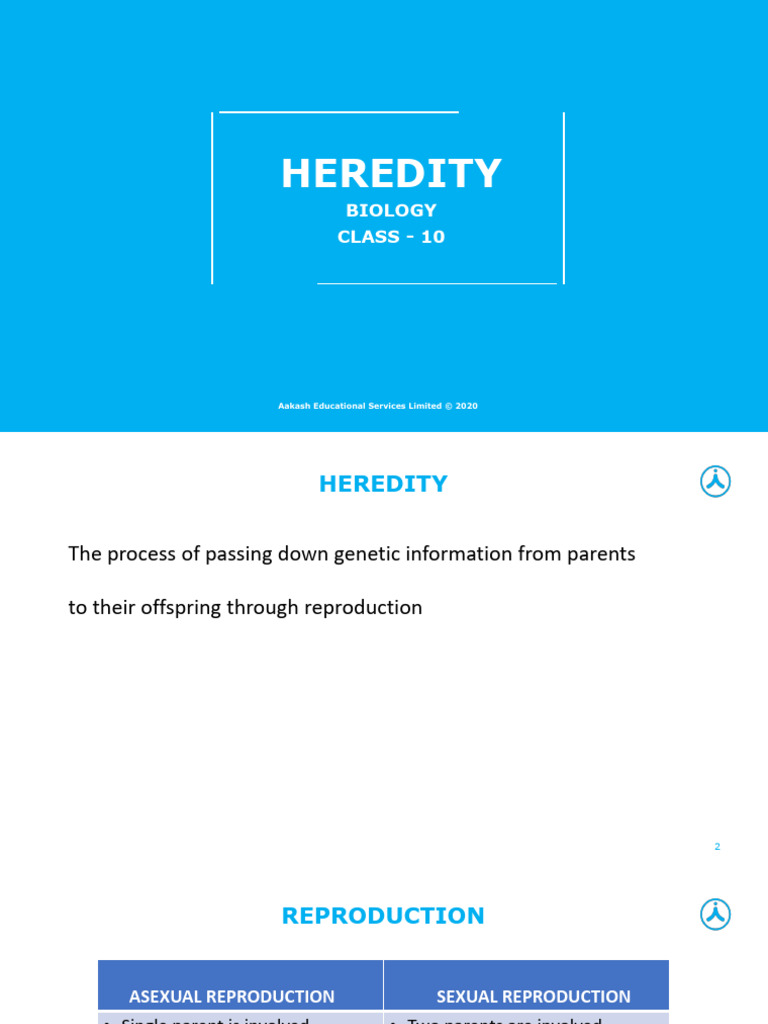 Heredity Class 10 Final | PDF | Dominance (Genetics) | Zygosity