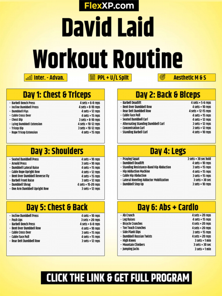 David Laid Workout Routine | PDF