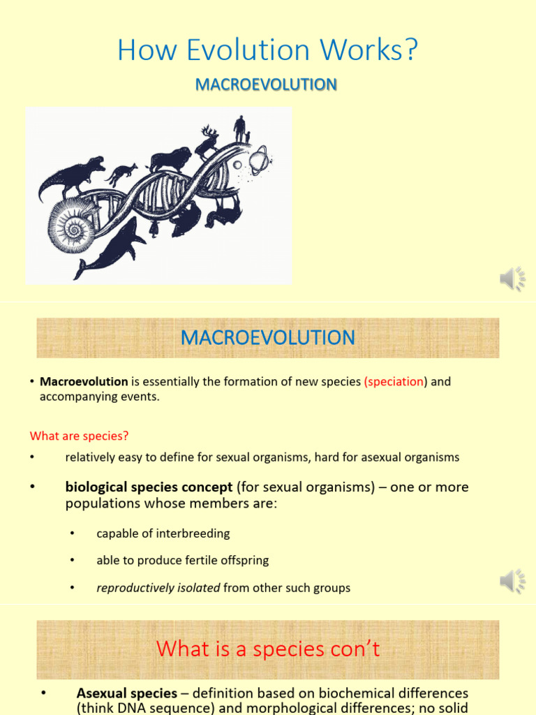 BIO 201 4-How Evolution Works-macroevolution 2025-2 | PDF | Hybrid ...