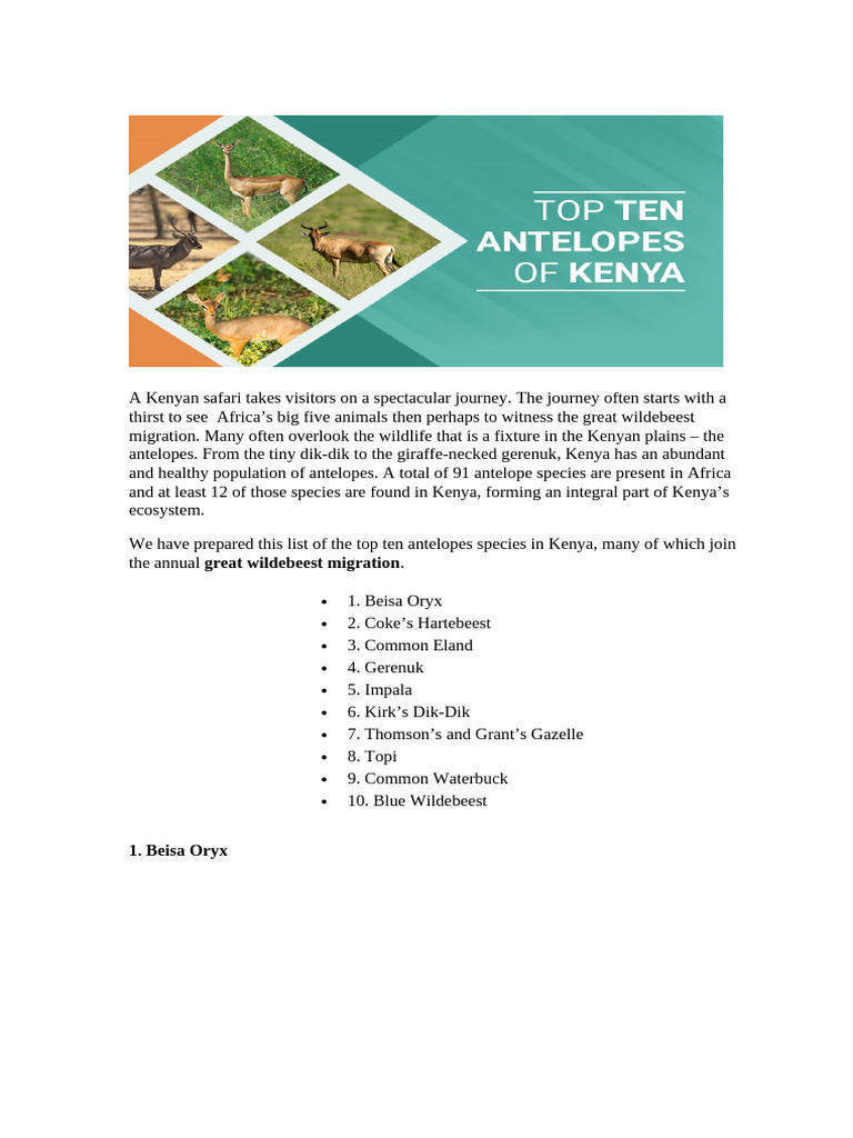Mammals Antelopes 2docx | PDF | Zebra | Elephant