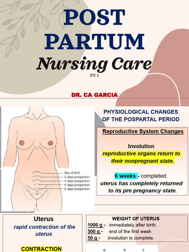 WK10 | PDF | Vagina | Uterus