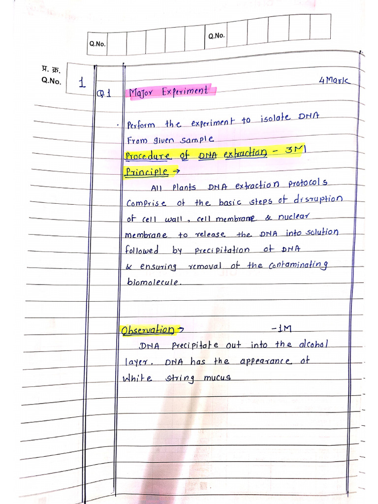 Demo Practical Question Paper With Answer | PDF