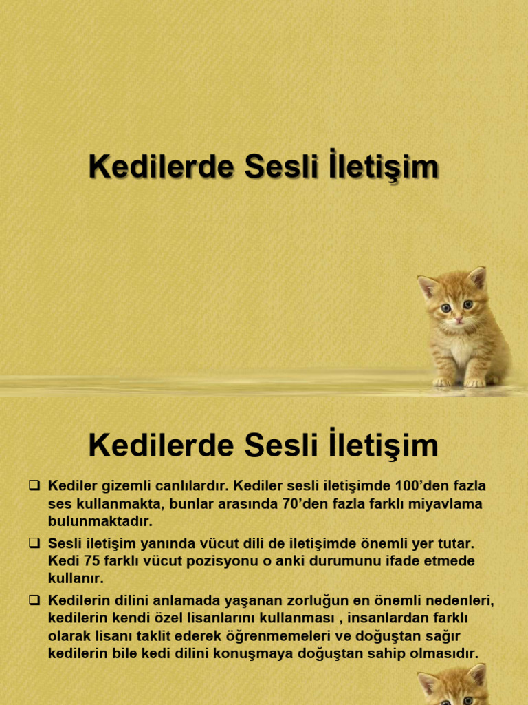 12. Hafta_Kedilerde sesli iletişim | PDF