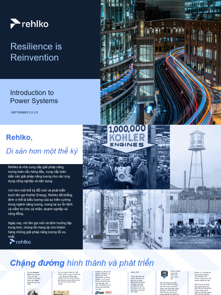 Rehlko PS Overview VN | PDF