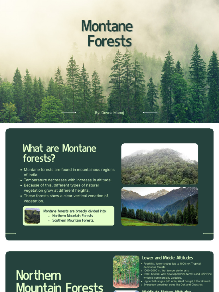 Montane Forests by Devna (1) | PDF | Forests | Earth Sciences