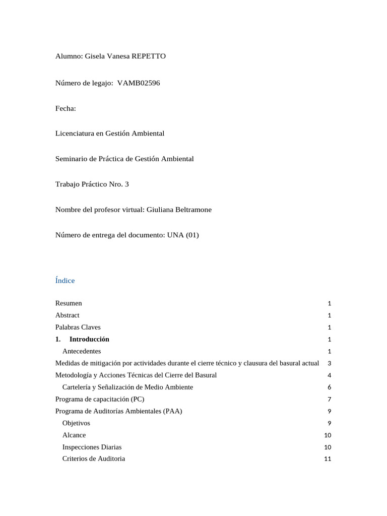 SPGA TP3-1 | PDF | Auditoría | Vertedero