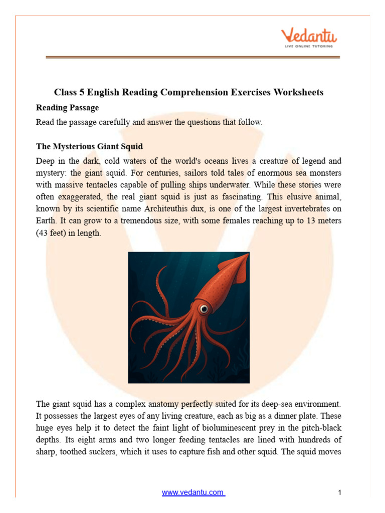 Giant Squid Reading Comprehension Worksheet | PDF | Zoology