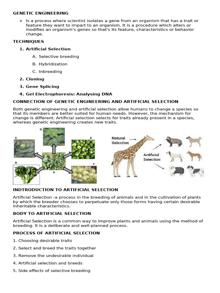 Genetic Engineering 1 | PDF | Inbreeding | Selective Breeding
