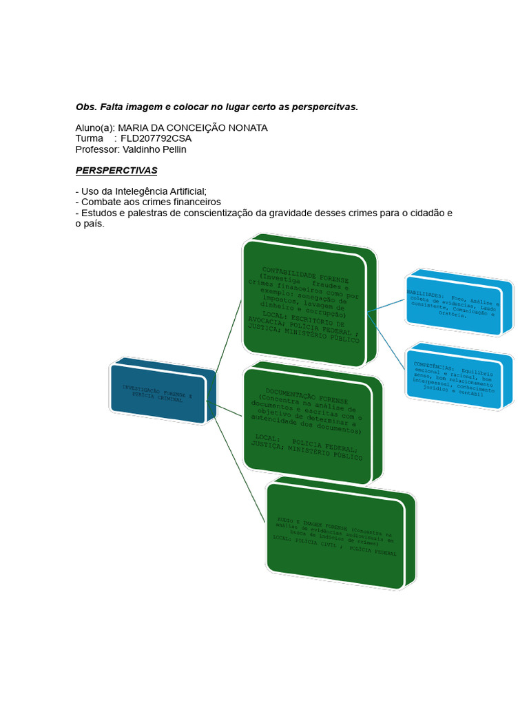 MAPA CONCEITUAL - 26.06.2025 (1) | PDF
