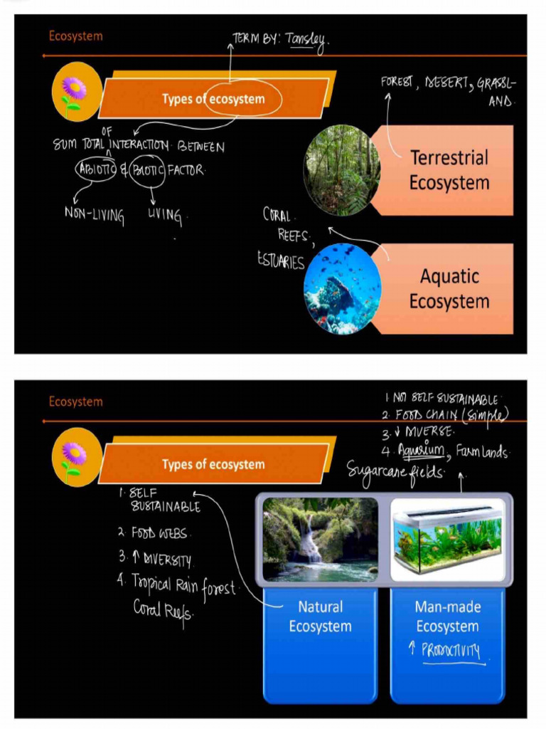 Ecosystem 12th | PDF | Soil | Horticulture