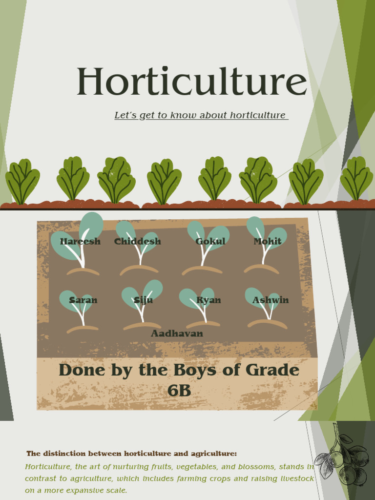 Horticulture Project 6b.pptx | PDF | Horticulture | Agriculture