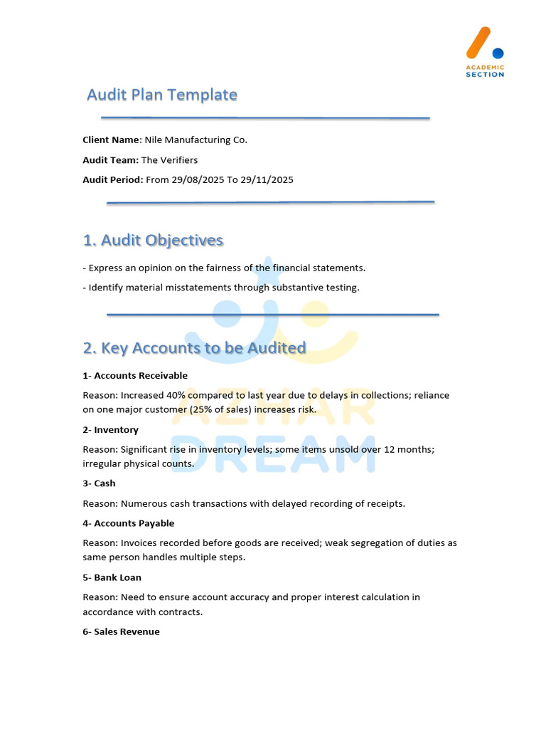 Audit Plan | PDF | Audit | Valuation (Finance)