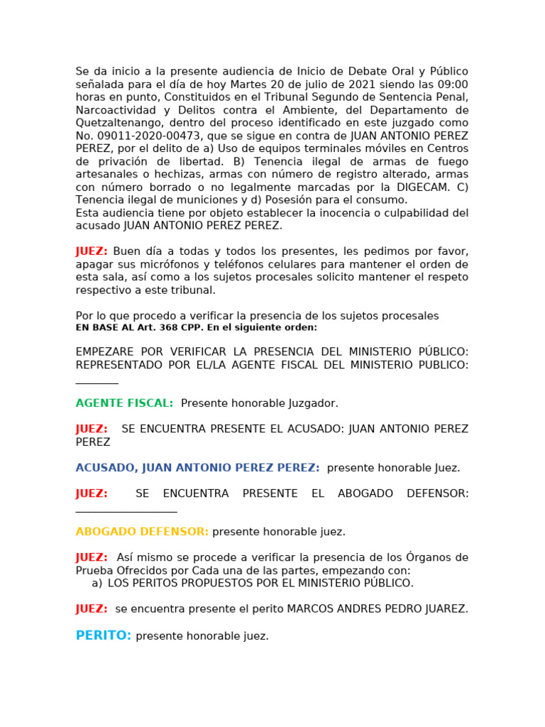 Guia de Audiencia de Debate Penal | PDF | Testigo experto | Testigo