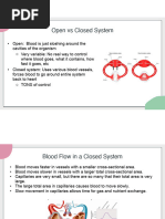 Fish Heart Structure and Function | PDF | Circulatory System | Heart
