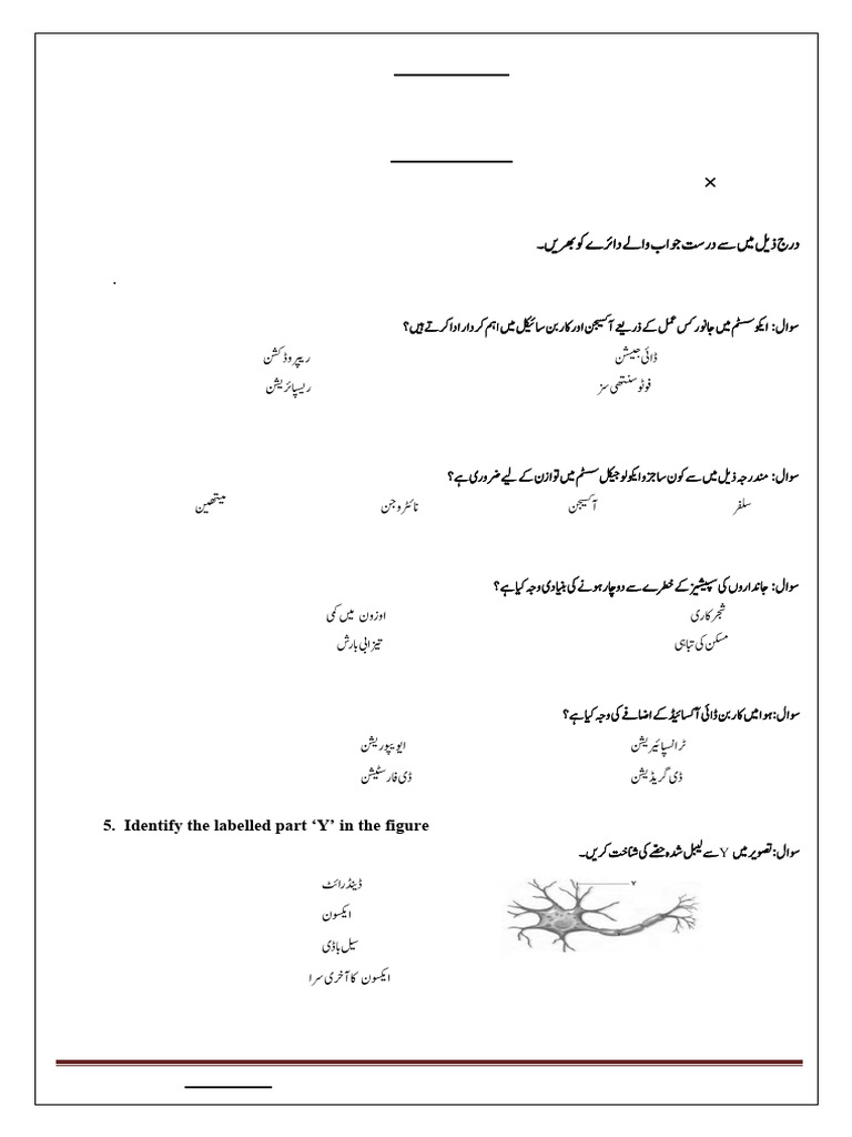 Grade 8 Science Model Paper | PDF