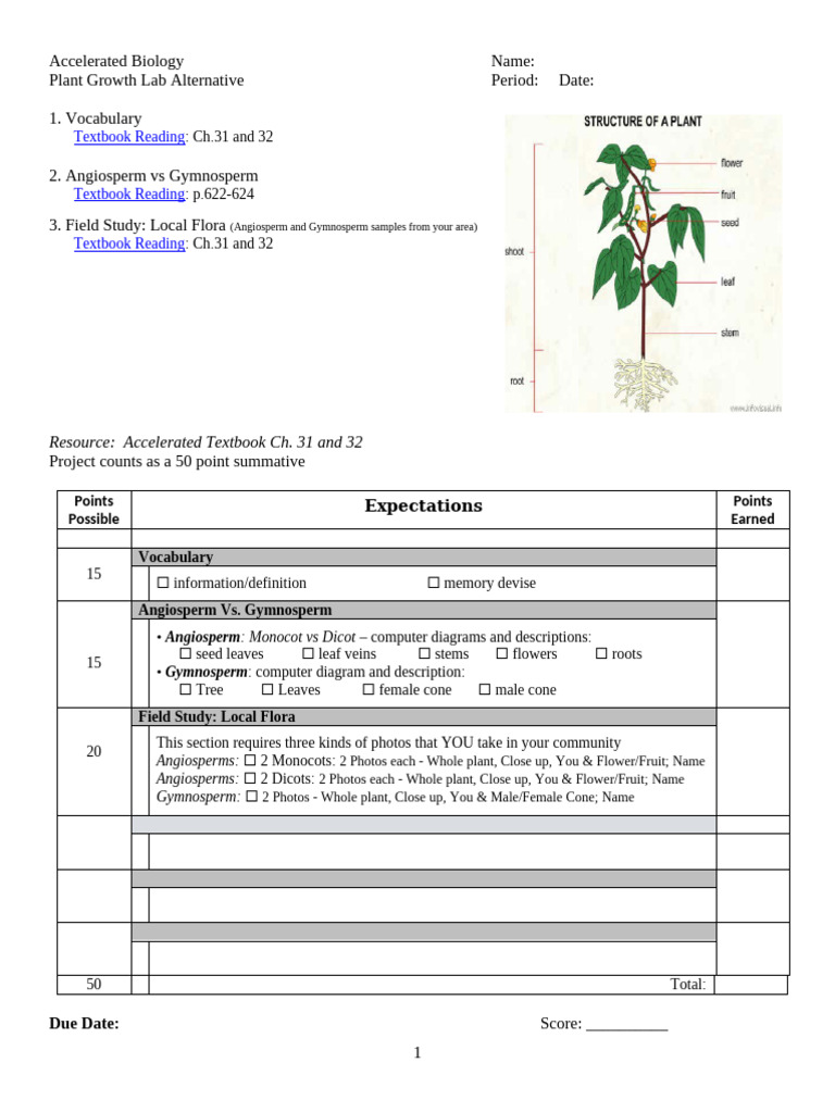 Acc Bio_Plant Growth Lab Alternative | PDF | Leaf | Plants