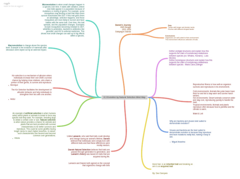 8 3 Evolution by Natural Selection Mind Map | PDF | Natural Selection | Evolution