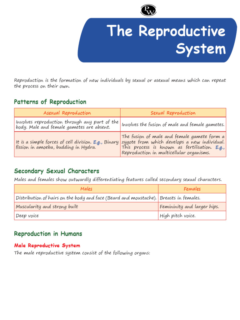 Biology - The Reproductive System : Handwritten Notes & CYQs || Legend ...