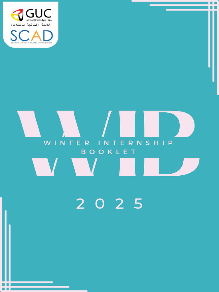 GUC Winter Internship Opportunities 2025 | PDF | Net Present Value ...