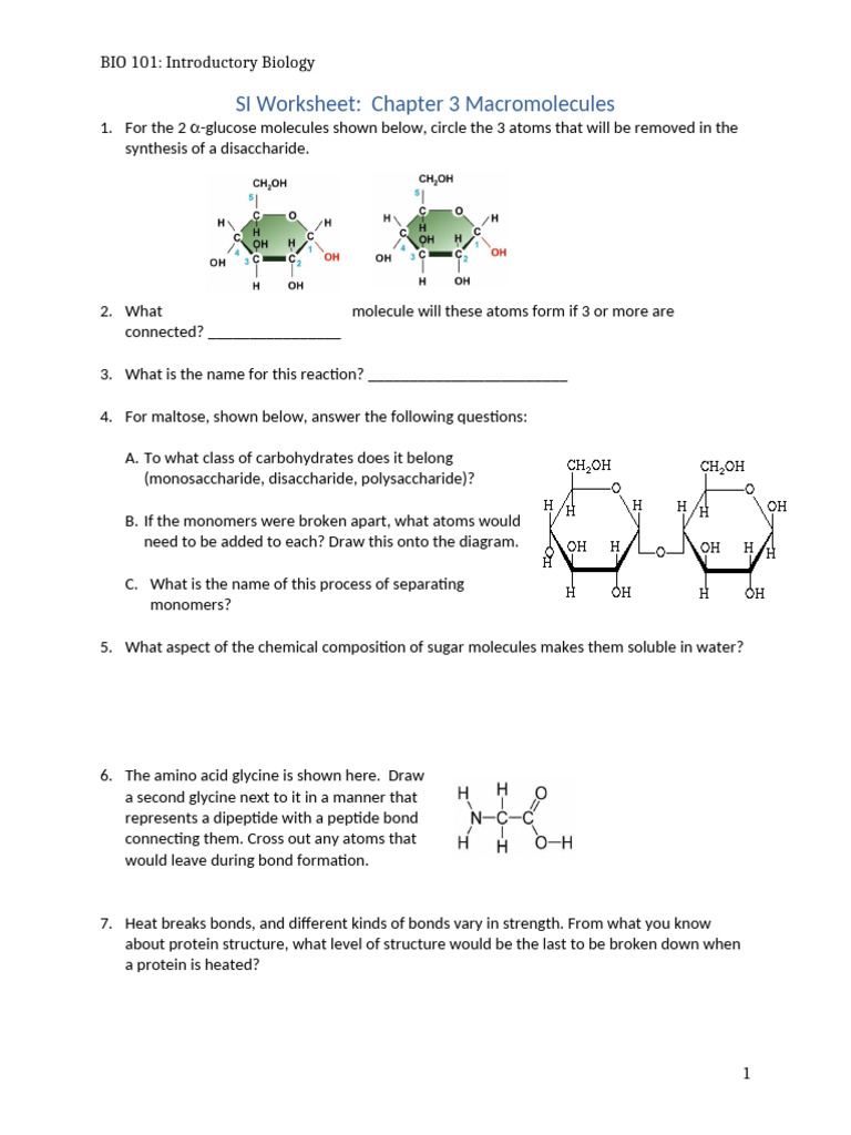 SI Worksheet Chapter 3 F23 | PDF