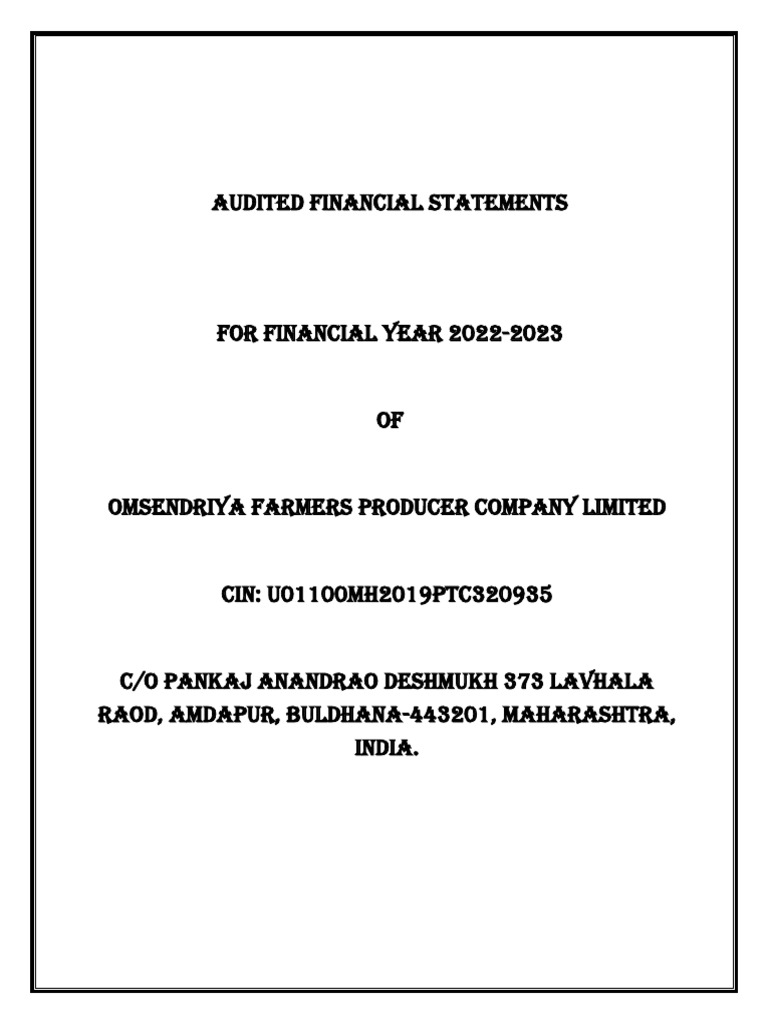 Audit Report Final (1) | PDF