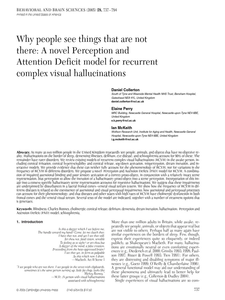 Understanding Visual Hallucinations: PAD Model | PDF | Hallucination ...