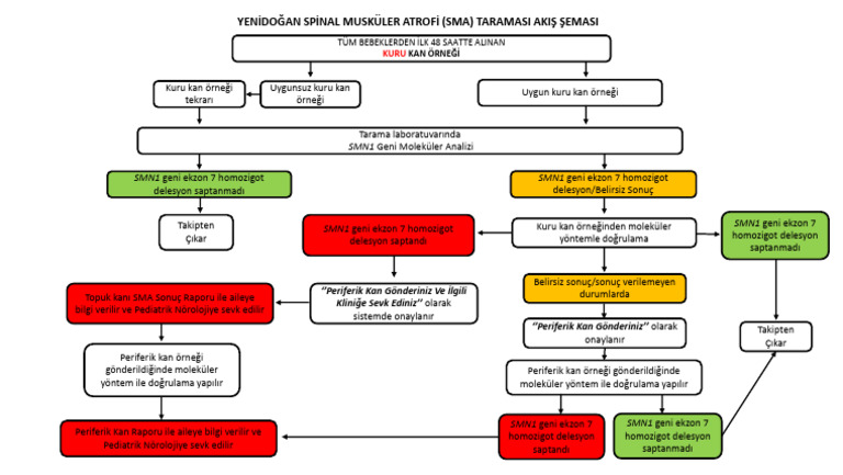 SMA Yeni Akis Semasi | PDF