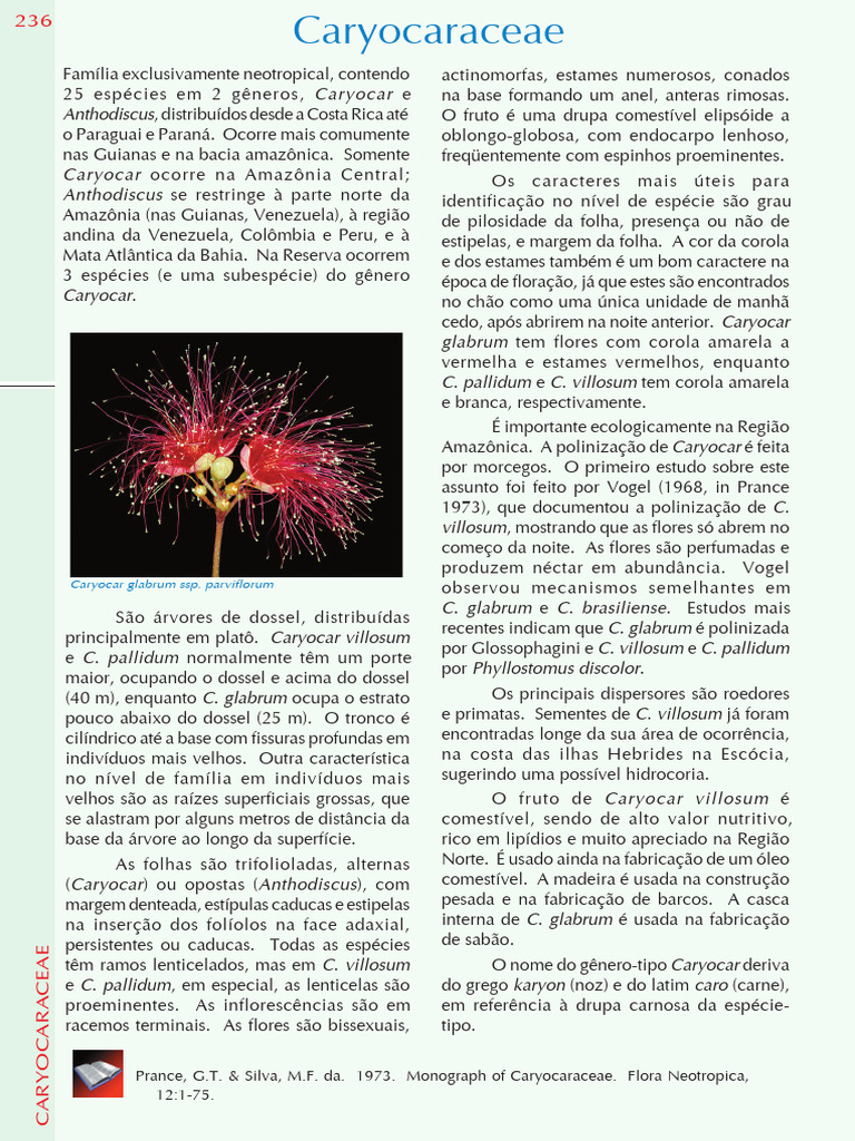 Caryocaraceae | PDF | Botânica | Plantas