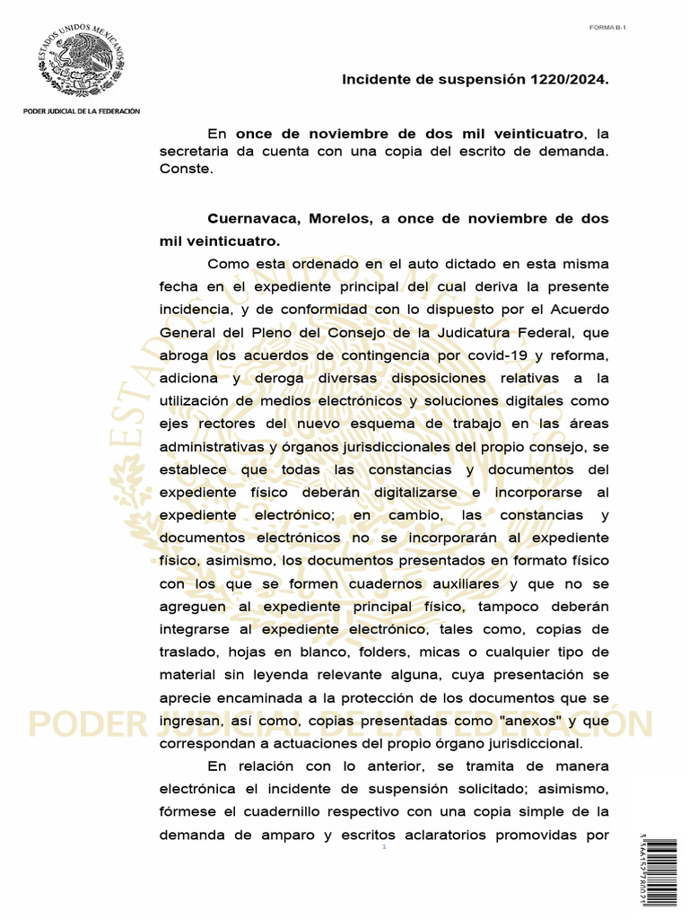 INCIDENTE AMPARO 2 | PDF | Mandato | Separación de poderes