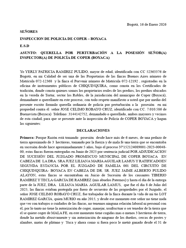 QUERELLA INSPECCION POLICIA COPER | PDF | Justicia | Crimen y violencia