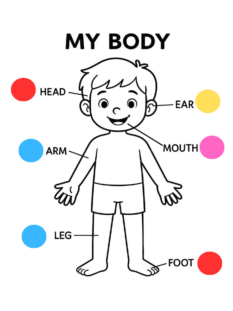 Body Parts Coloring | PDF