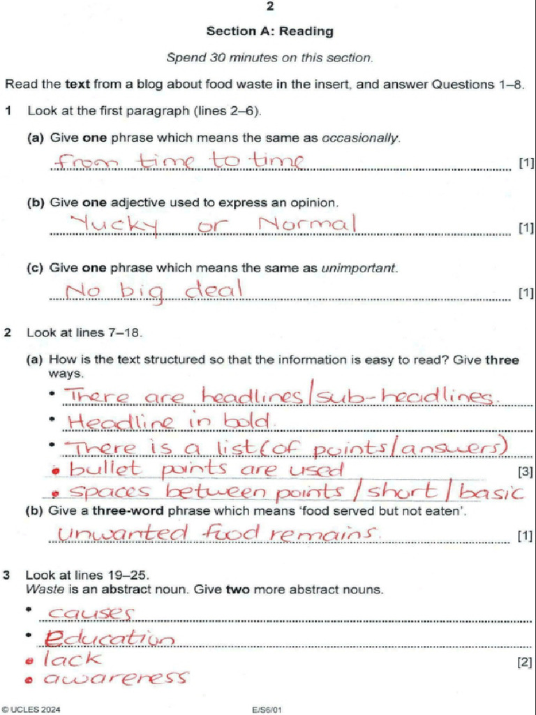 English Homework P1 | PDF