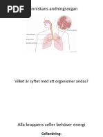 HB Uppbygg.+funktion+dissociationskurvan | PDF