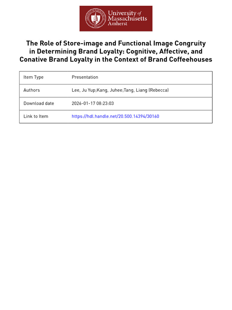 The Role of Store Image and Functional Image Congruity in Determining ...