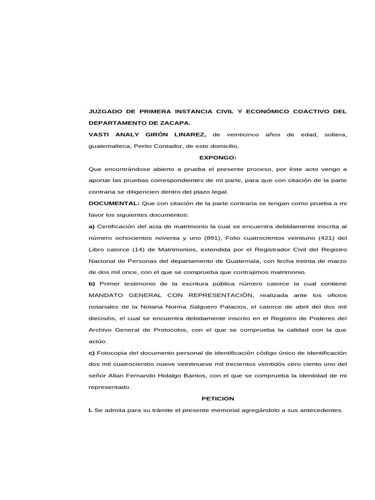 OFRECIMIENTO DE PRUEBA CIVIL | PDF | Separación de poderes | Justicia